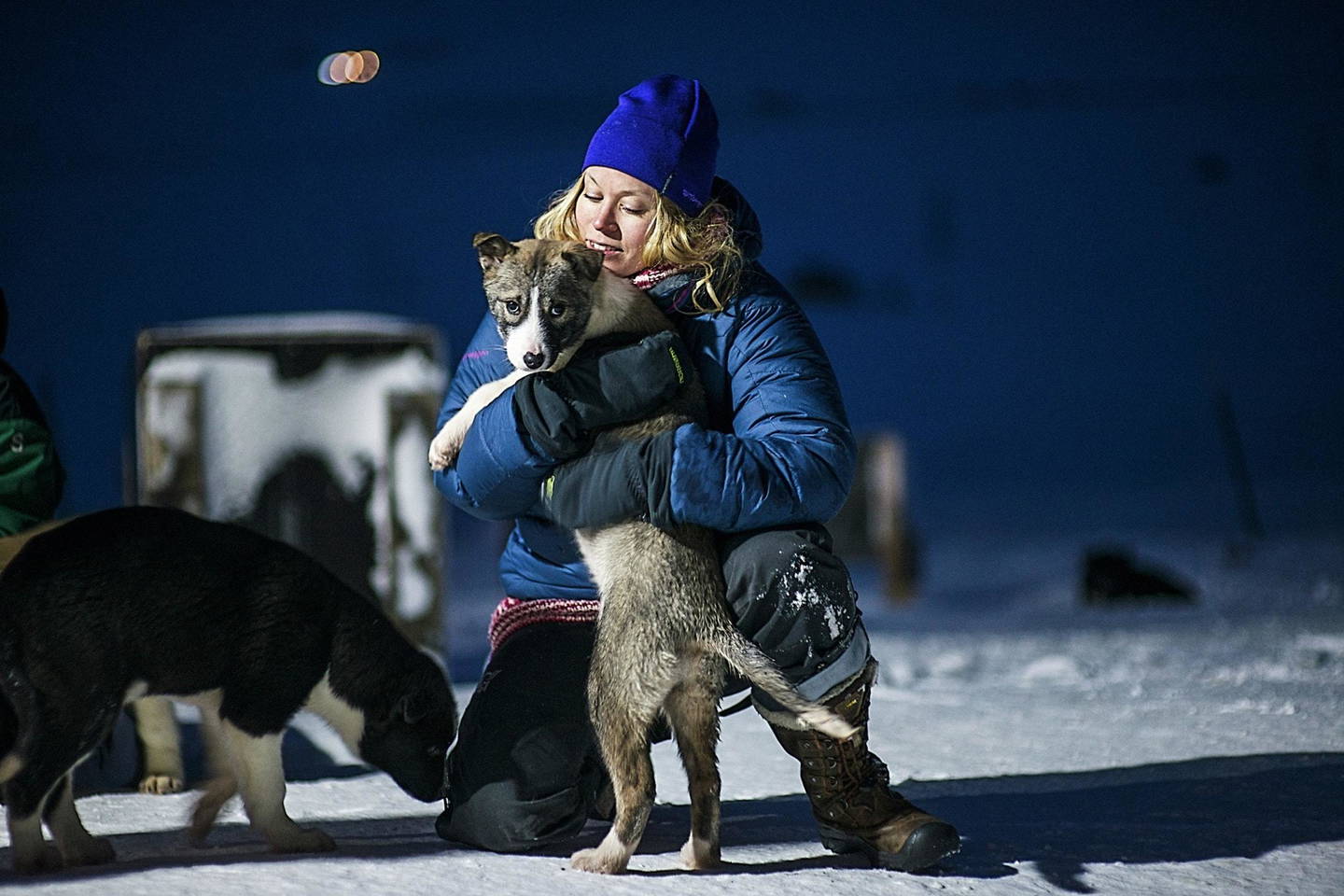 Svalbard – til alle årstider – Escape Travel