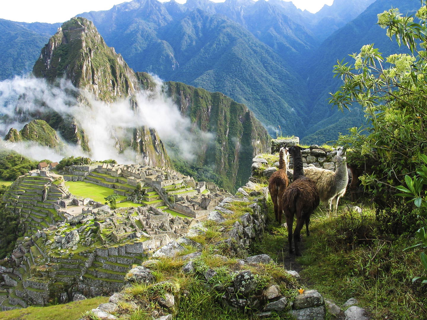 Rundreise – Peru med Amazonas – Escape Travel