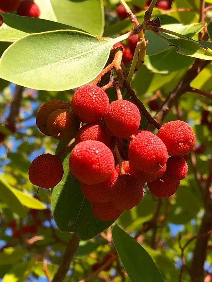 Fotturer på Nord-Kypros – Escape Travel